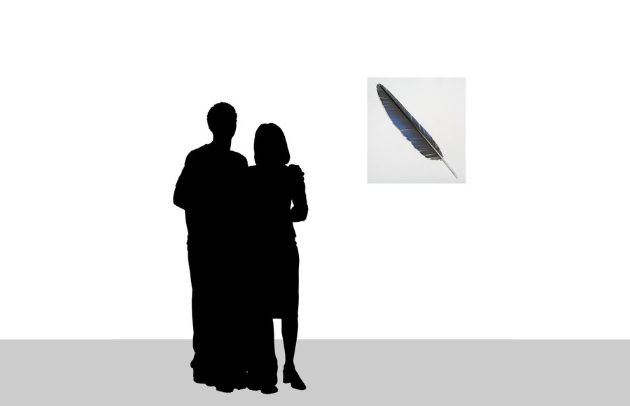 Neil Dawson | Pukeko Feather 800 | Milford Galleries Queenstown