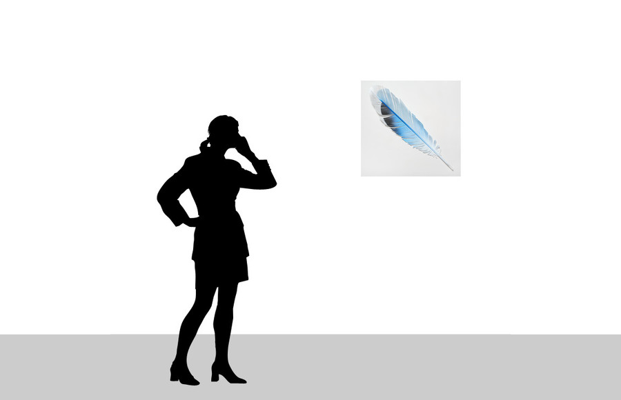 Neil Dawson | Duck Feather, Blue 800 | Milford Galleries Queenstown