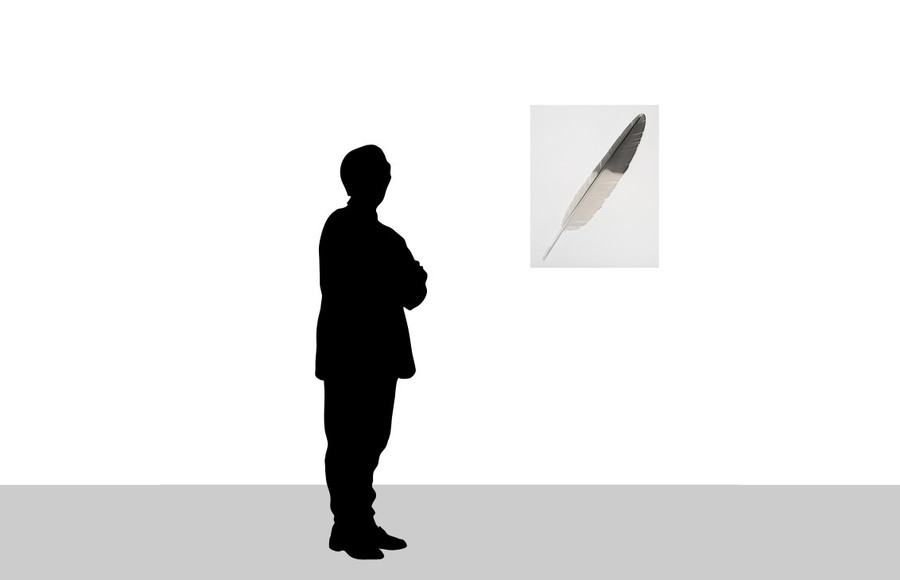 Neil Dawson | Magpie Feather 800 | Milford Galleries Queenstown